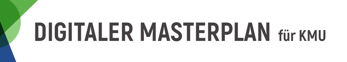 Digitaler Masterplan – Planung und Umsetzung der digitalen Transformation